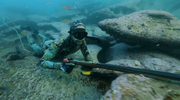 How To Catch Yellowtail Kingfish - Adreno - Ocean Outfitters