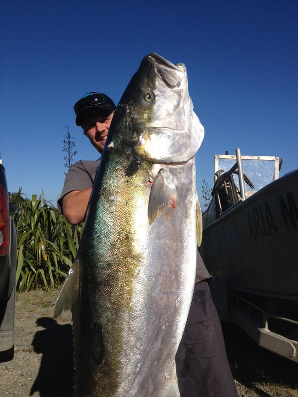 50-year-old NZ Kingfish Record Broken - Adreno - Ocean Outfitters