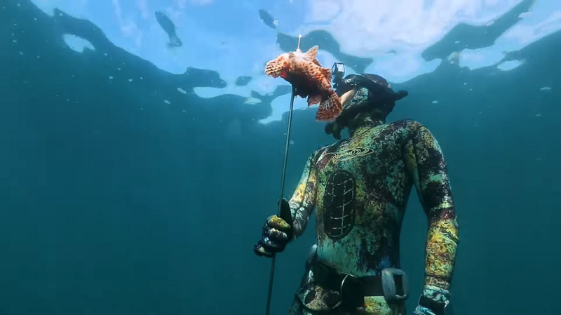 How To Catch Red Rock Cod In Sydney - Adreno - Ocean Outfitters