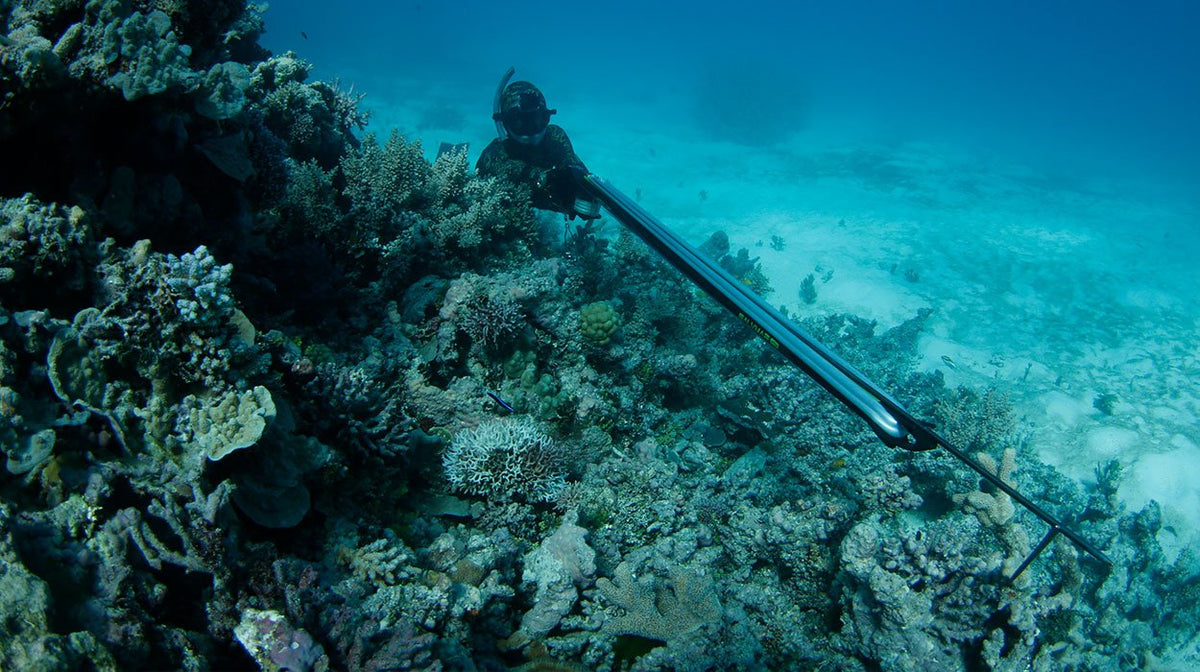 Open vs Closed Muzzle Spearguns - Adreno - Ocean Outfitters